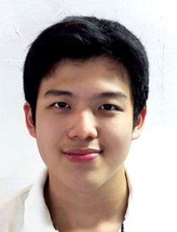 Issue Teams | PFP Pulse